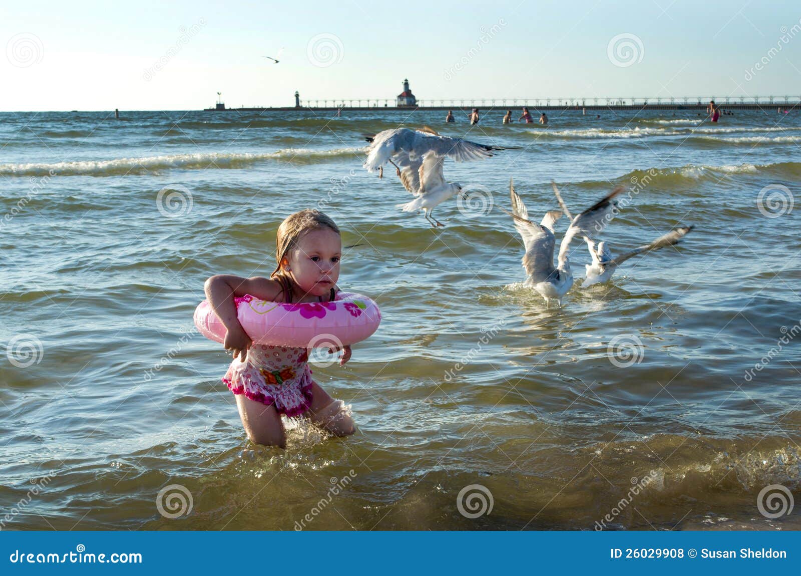 Child Scared of birds stock photo. Image of float, lighthouse - 26029908