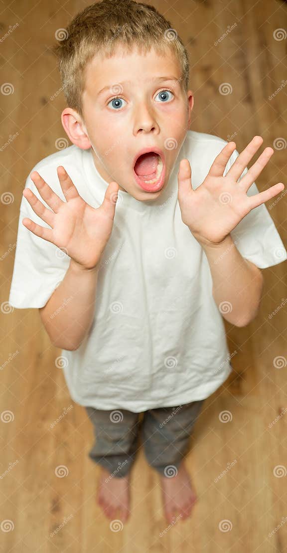 Scared boy stock image. Image of young, stunned, alarmed - 19994189