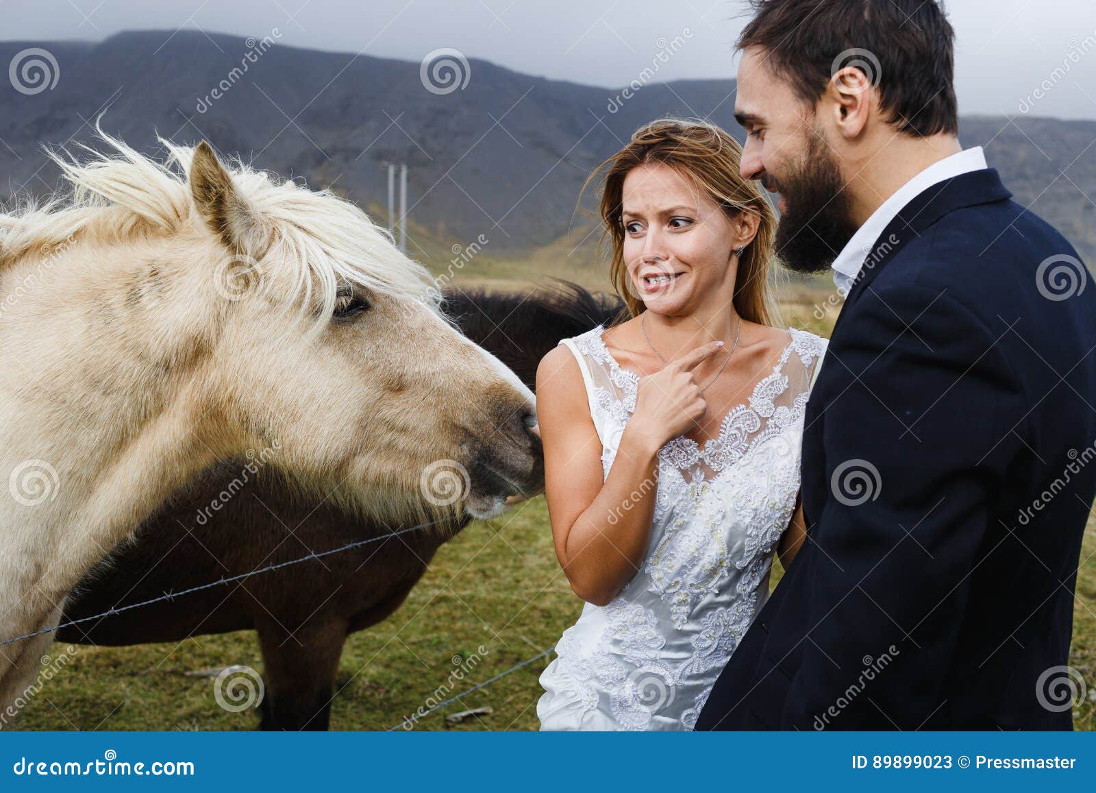 Scared bride stock image. Image of horse, married, honeymoon - 89899023