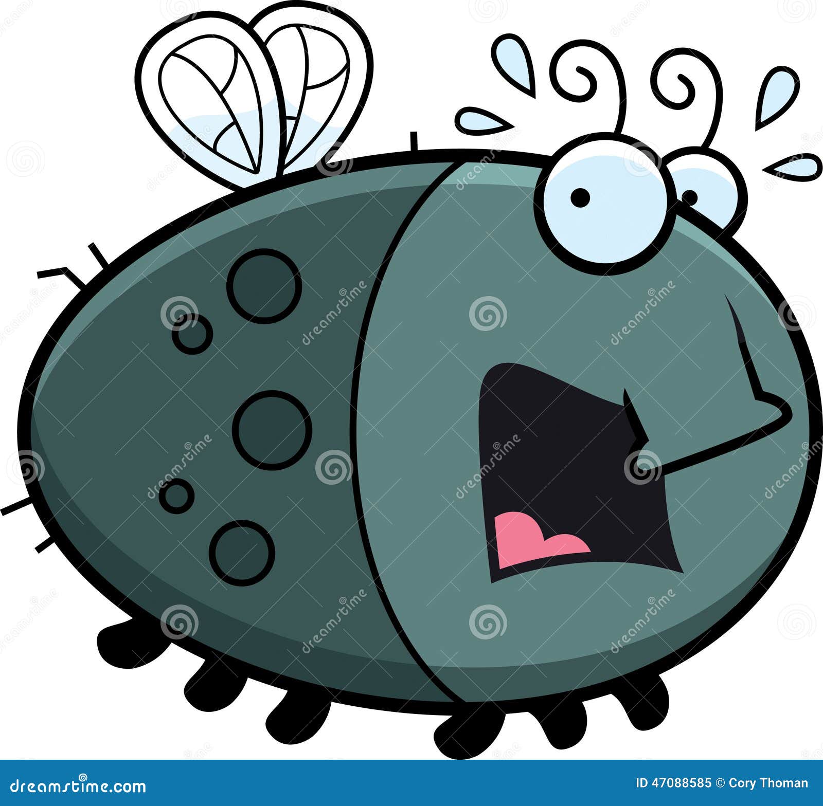 Scared Cartoon Fly stock vector. Illustration of graphic - 47088585