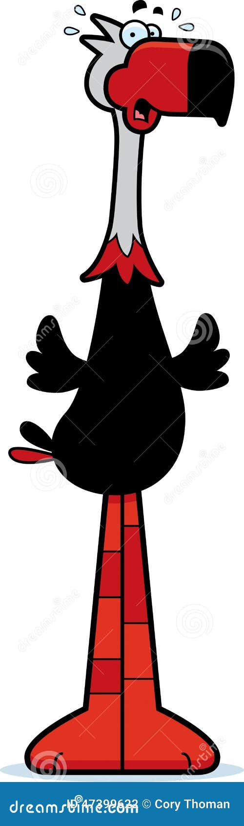Scared Cartoon Terror Bird stock vector. Illustration of clip - 47399622