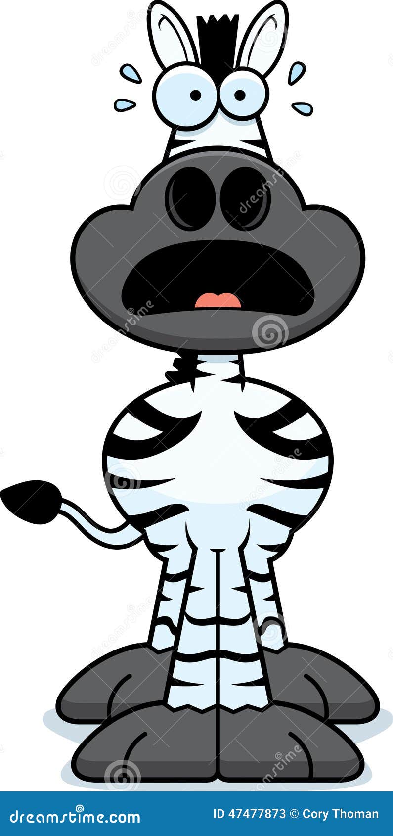 Scared Cartoon Zebra stock vector. Illustration of scared - 47477873