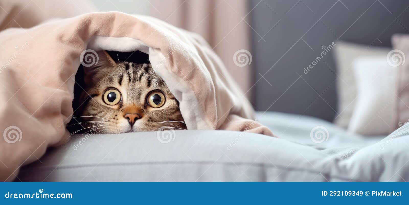 Scared Cat in a Bed, Generative AI Stock Illustration - Illustration of ...