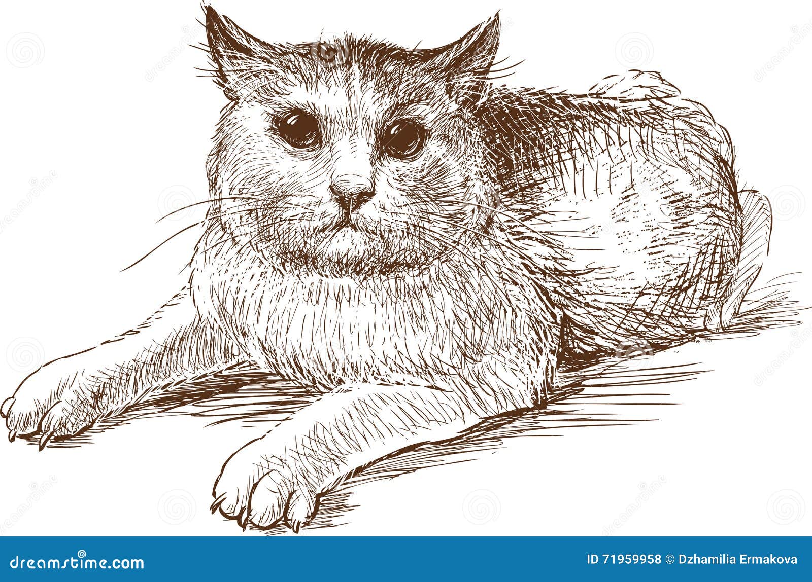 Scared cat stock vector. Illustration of scared, drawing - 71959958