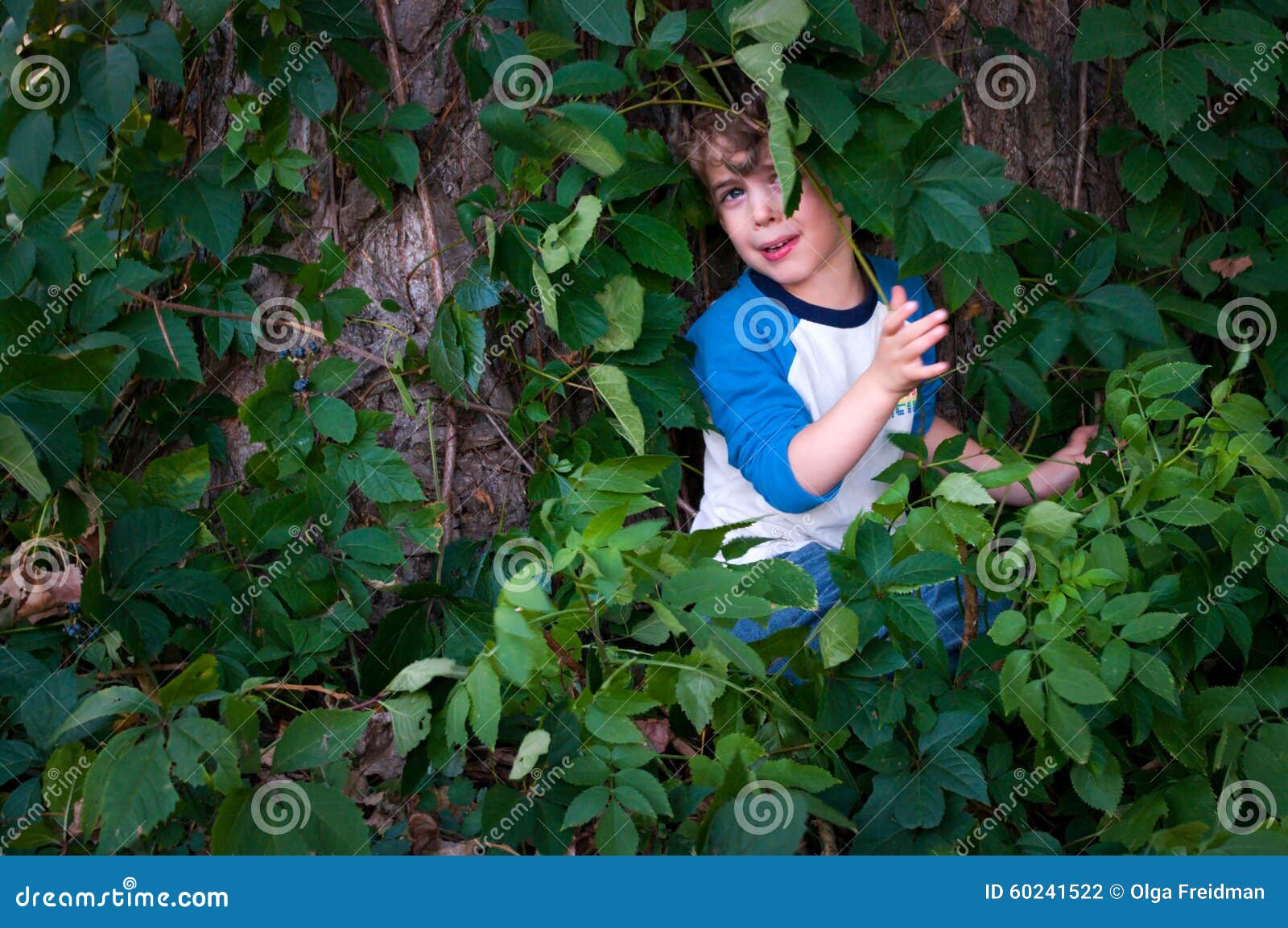 Scared child in the woods stock photo. Image of affright - 60241522
