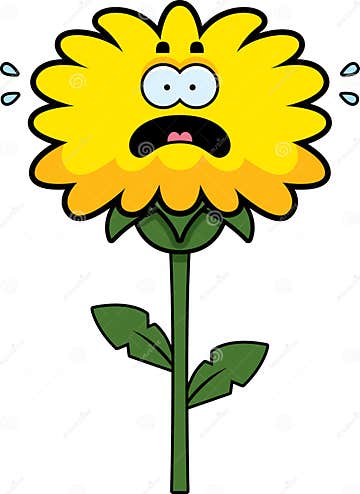 Scared Dandelion stock vector. Illustration of sweating - 47754502