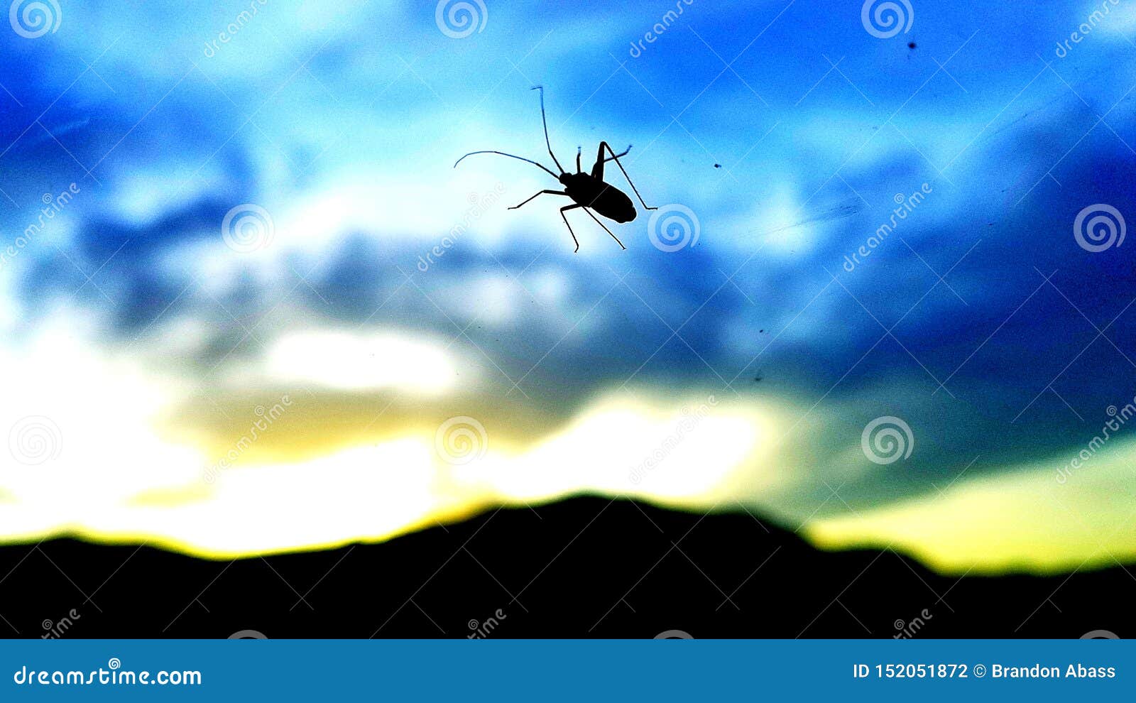 Scared of dark light? stock photo. Image of power, light - 152051872