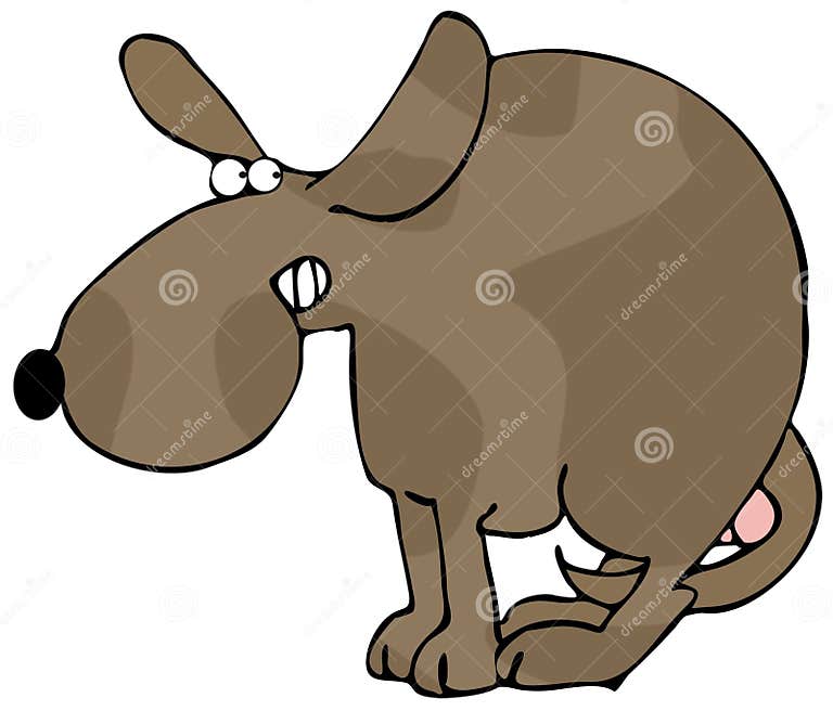 Scared Dog stock illustration. Illustration of tail, afraid - 5916056