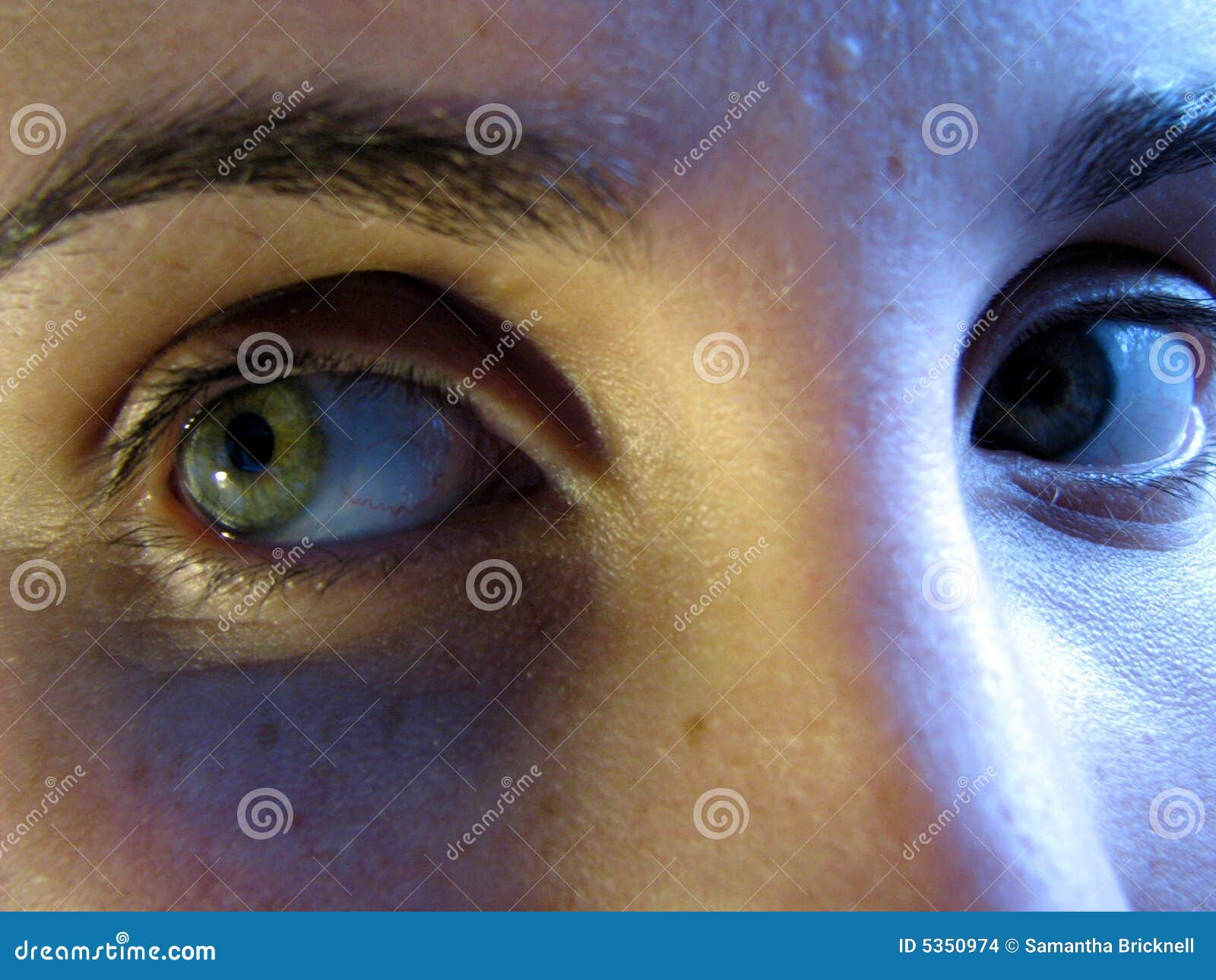 Scared Eyes stock photo. Image of green, pupil, look, eyes - 5350974