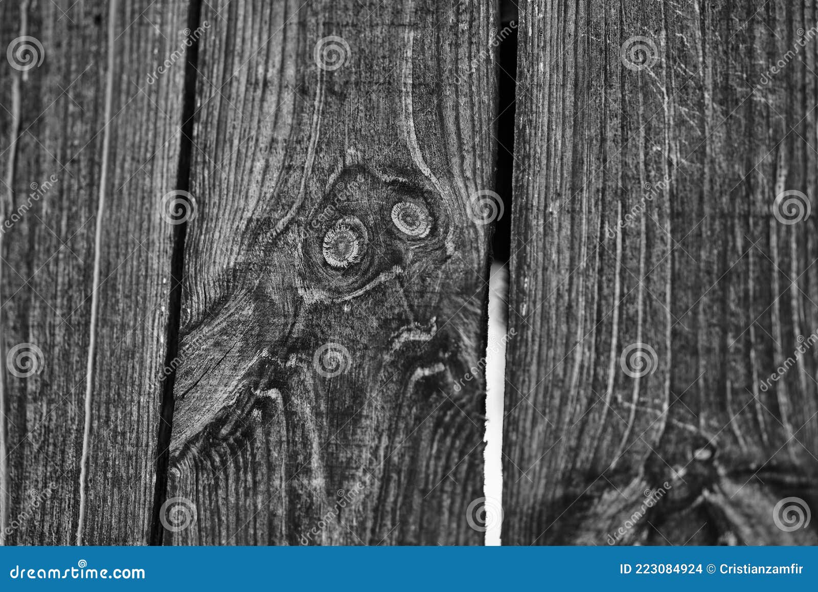 Scared Face on the Texture of a Piece of Wood Stock Photo - Image of ...