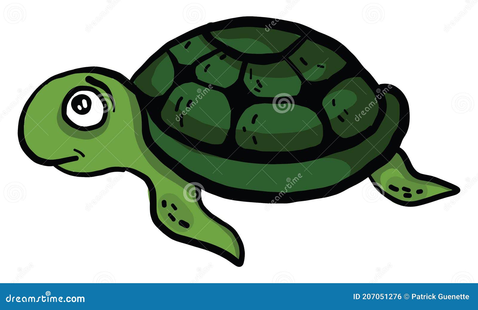 Scared Green Turtle, Illustration, Vector Stock Vector - Illustration ...