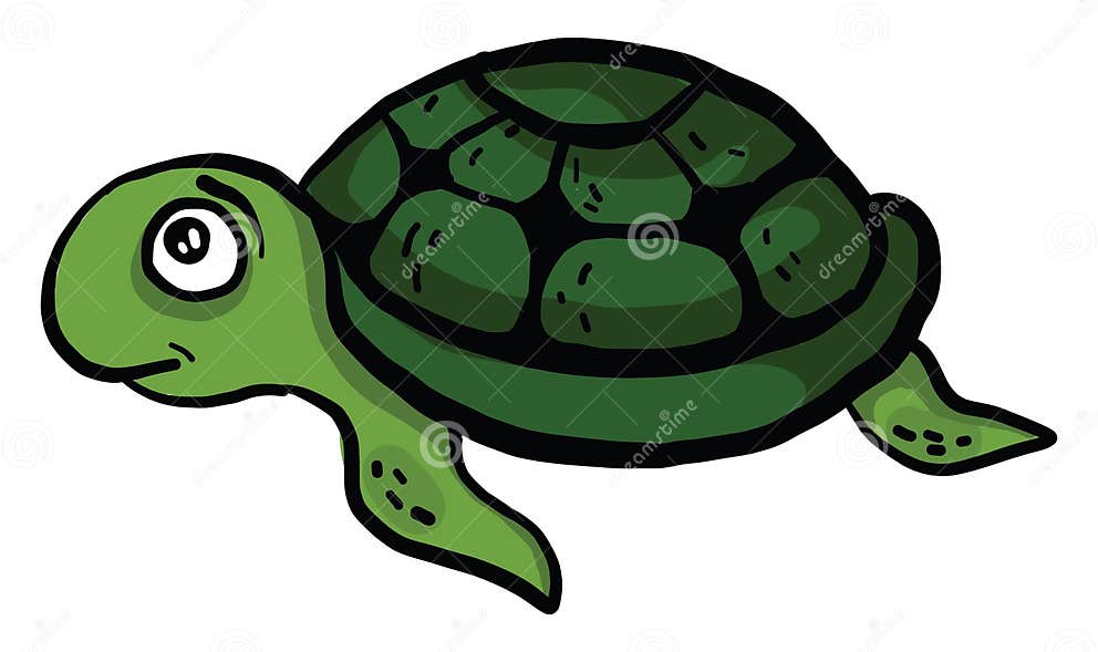 Scared Green Turtle, Illustration, Vector Stock Vector - Illustration ...