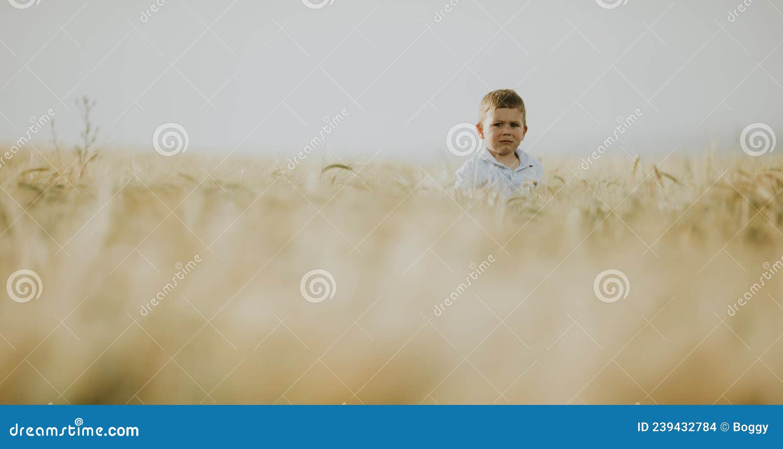 Scared Little Boy in the Field Stock Photo - Image of grass, young ...