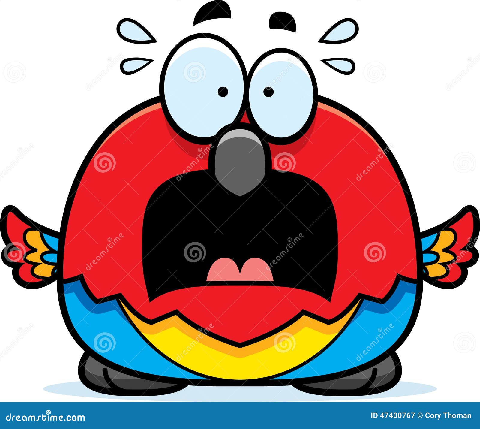 Scared Little Parrot stock vector. Illustration of bird - 47400767
