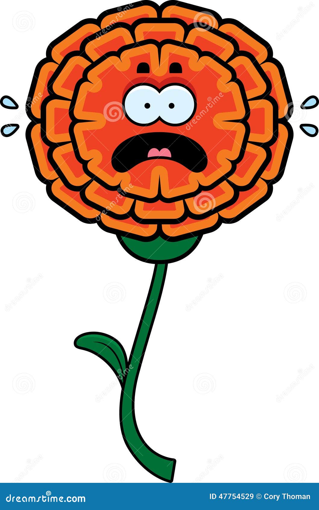 Scared Marigold stock vector. Illustration of petals - 47754529
