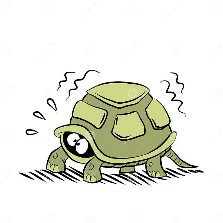 Scared Turtle Hiding Inside Shell Stock Vector - Illustration of ...