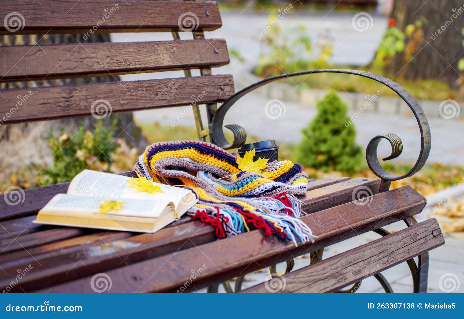 Scarf on a bench stock photo. Image of double, season - 263307138