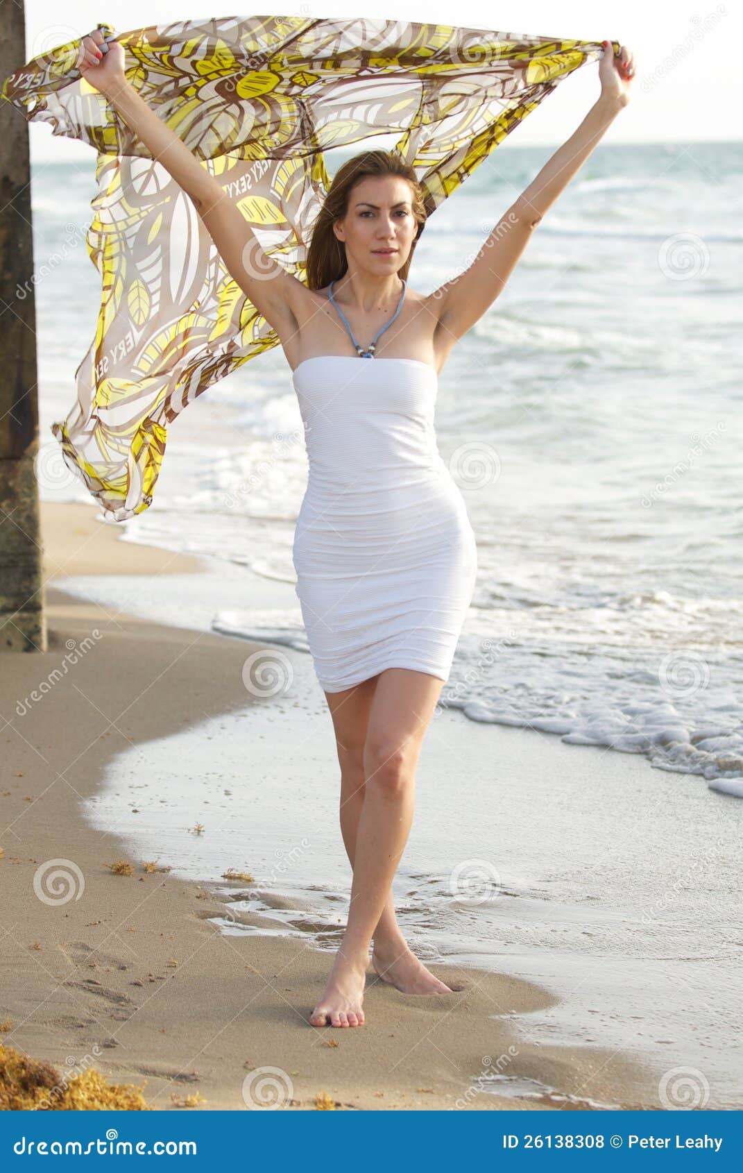 Scarf in the Wind stock photo. Image of clothes, fashion - 26138308
