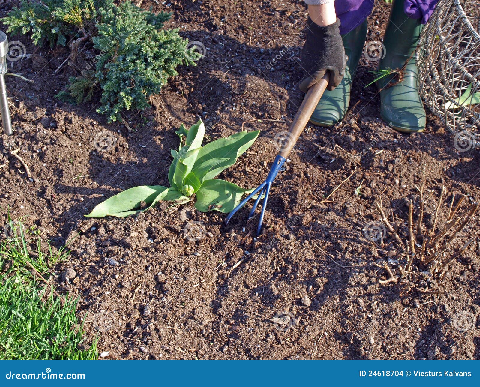 Scarify the soil stock photo. Image of work, picker, ground - 24618704