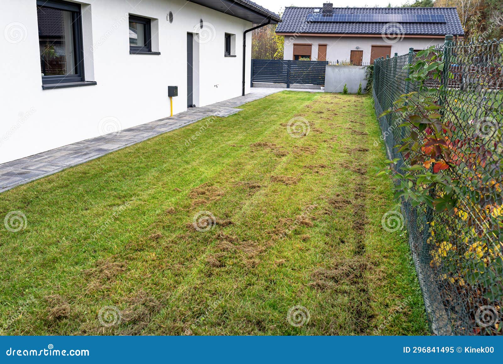 Scarifying the Lawn before the Winter Season Using an Electric ...