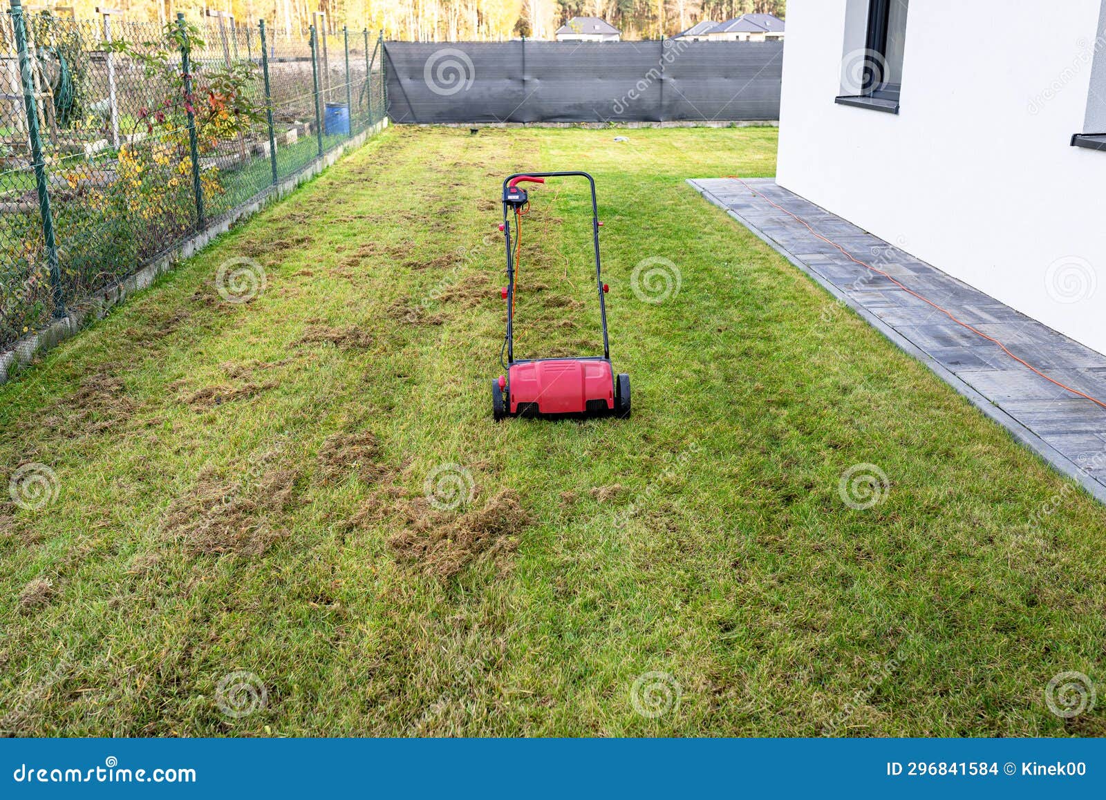 Scarifying the Lawn before the Winter Season Using an Electric ...
