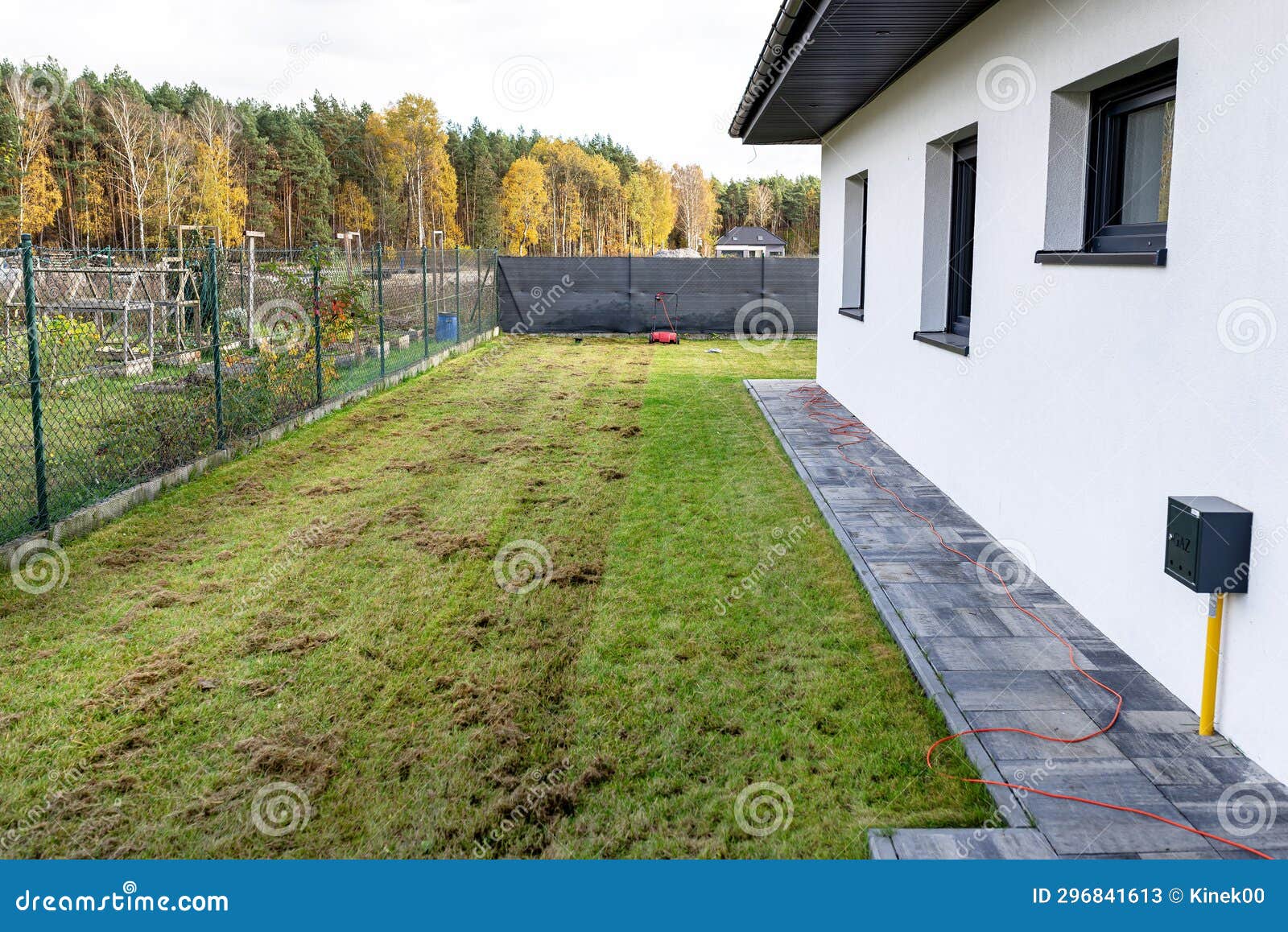 Scarifying the Lawn before the Winter Season Using an Electric ...