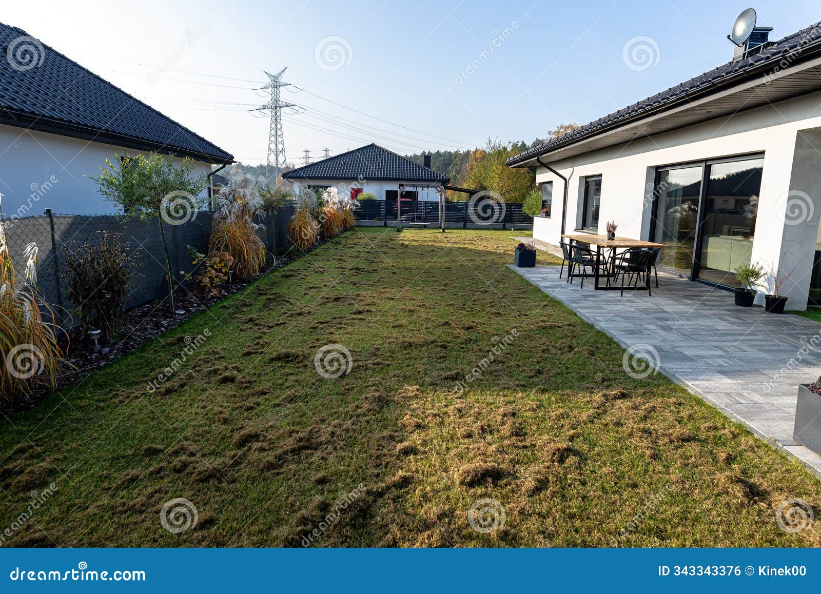 Scarifying the Lawn before the Winter Season Using an Electric ...
