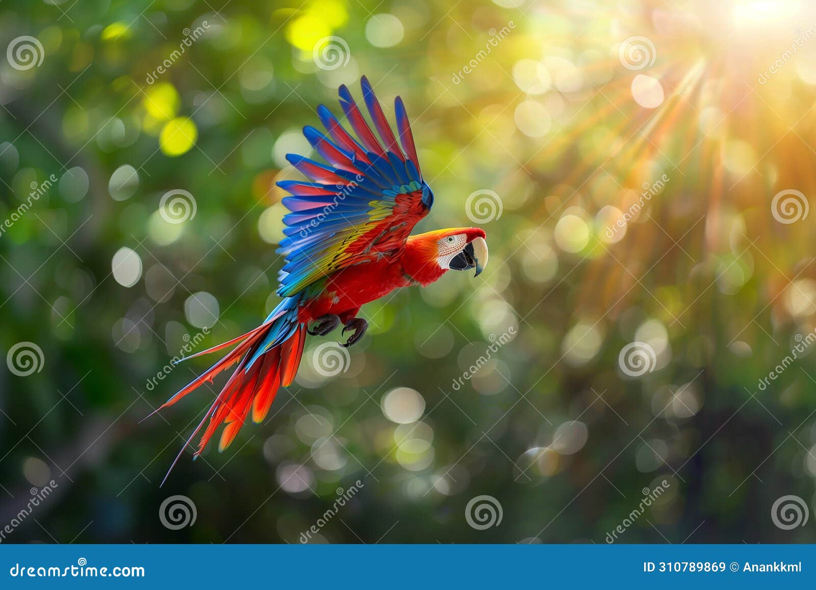 Scarlet Macaw Flying in Forest.Generative AI Stock Illustration ...