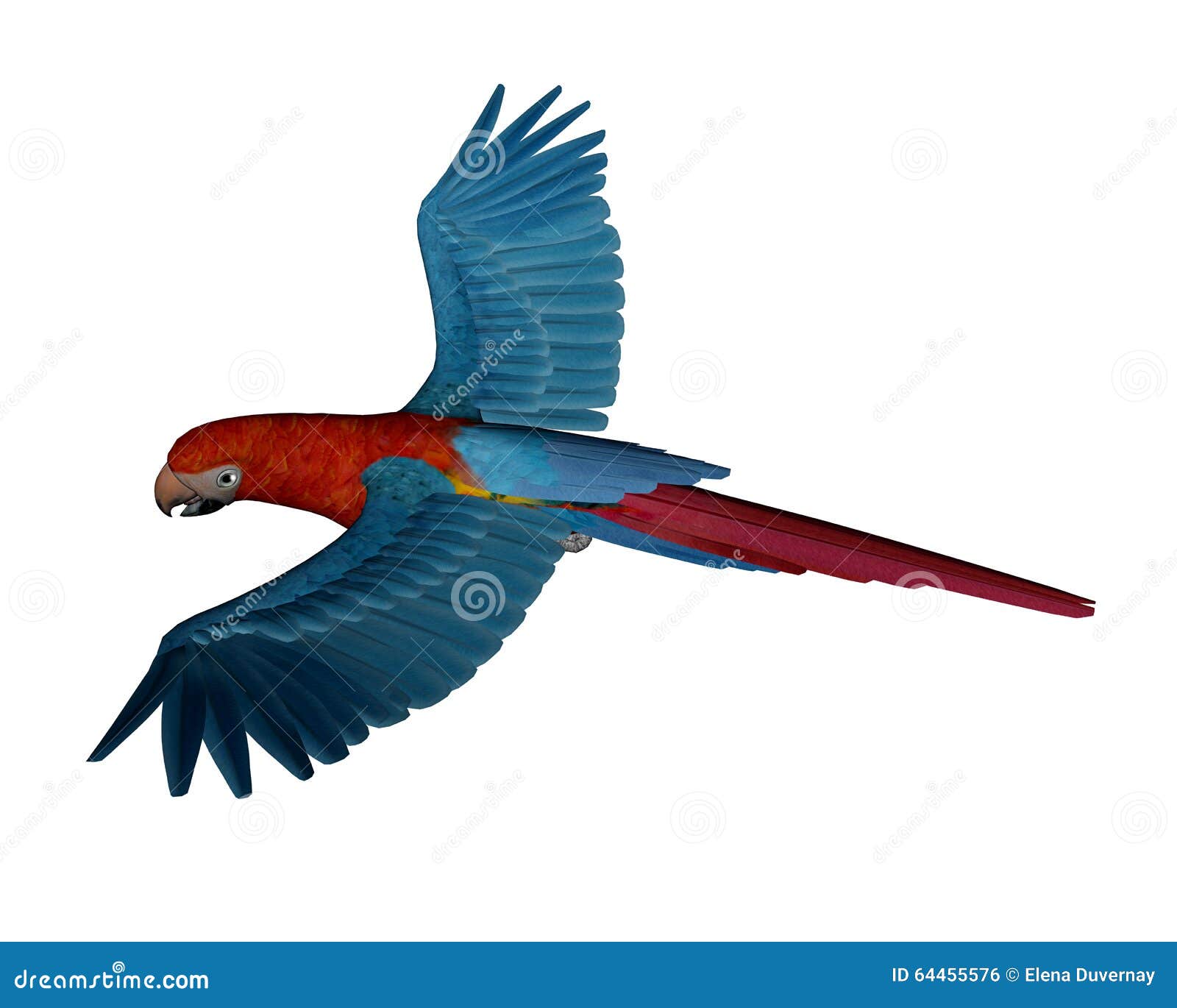 Scarlet Macaw Flying Seamless Background Wallpaper-01 Cartoon Vector ...