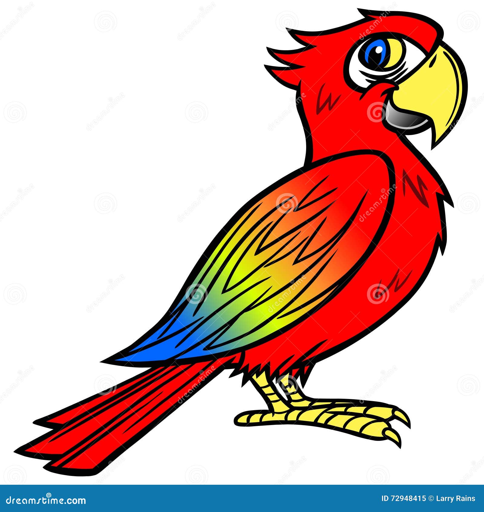 Scarlet Macaw stock vector. Illustration of pets, scarlet - 72948415