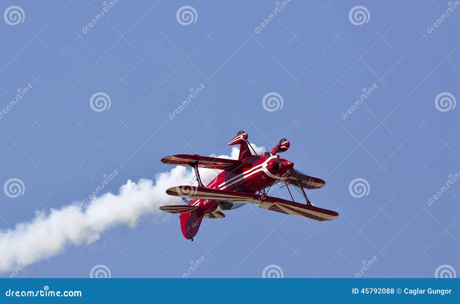 Scarlet Rose Upside Down Flight Editorial Stock Photo - Image of ...