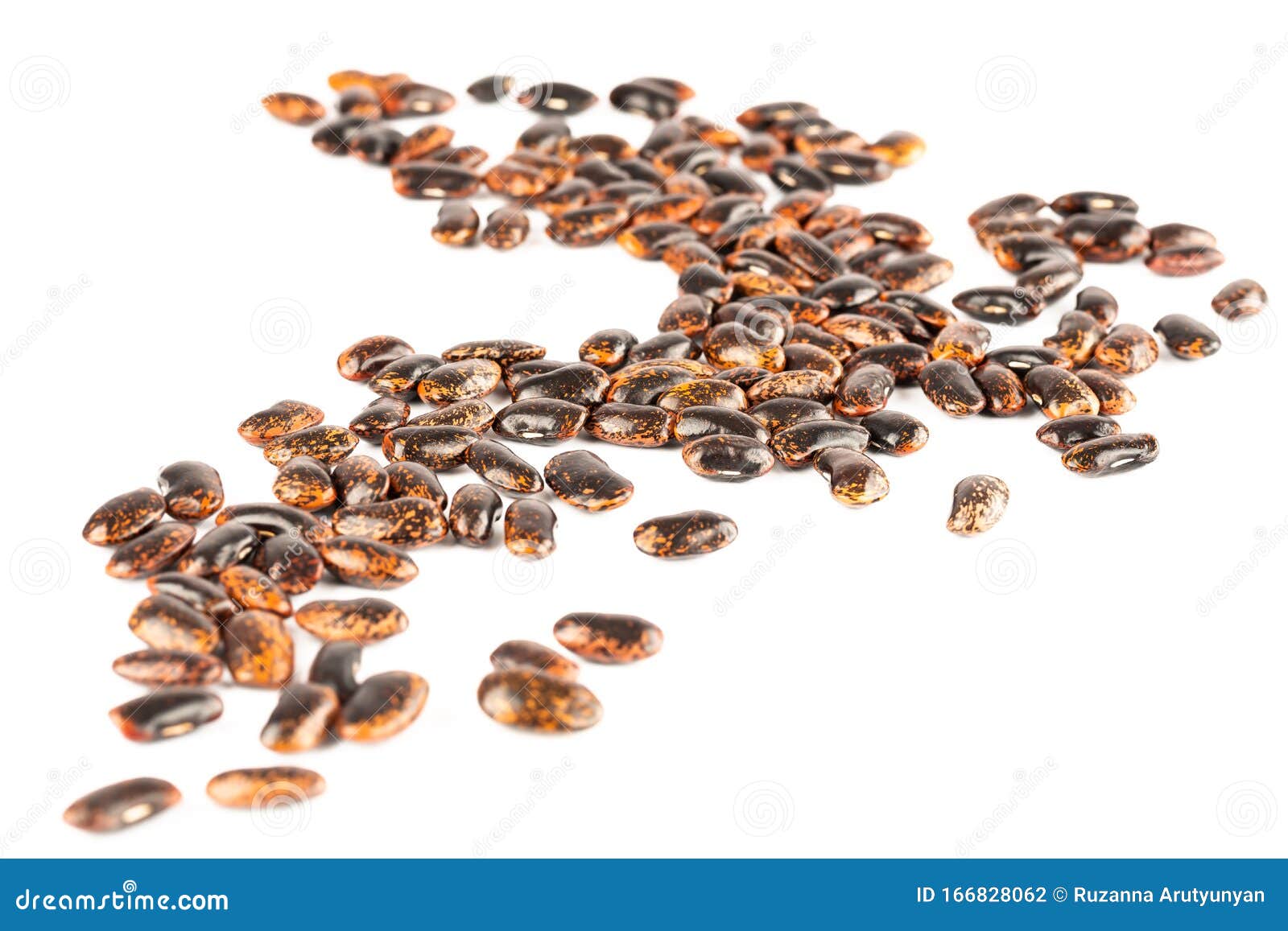 Scarlet runner beans stock photo. Image of dried, black - 166828062