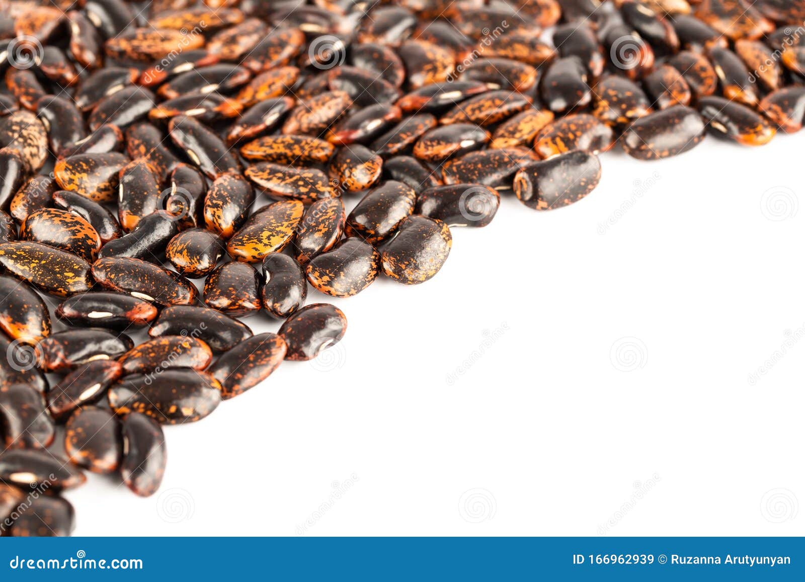 Scarlet runner beans stock image. Image of organic, dried - 166962939