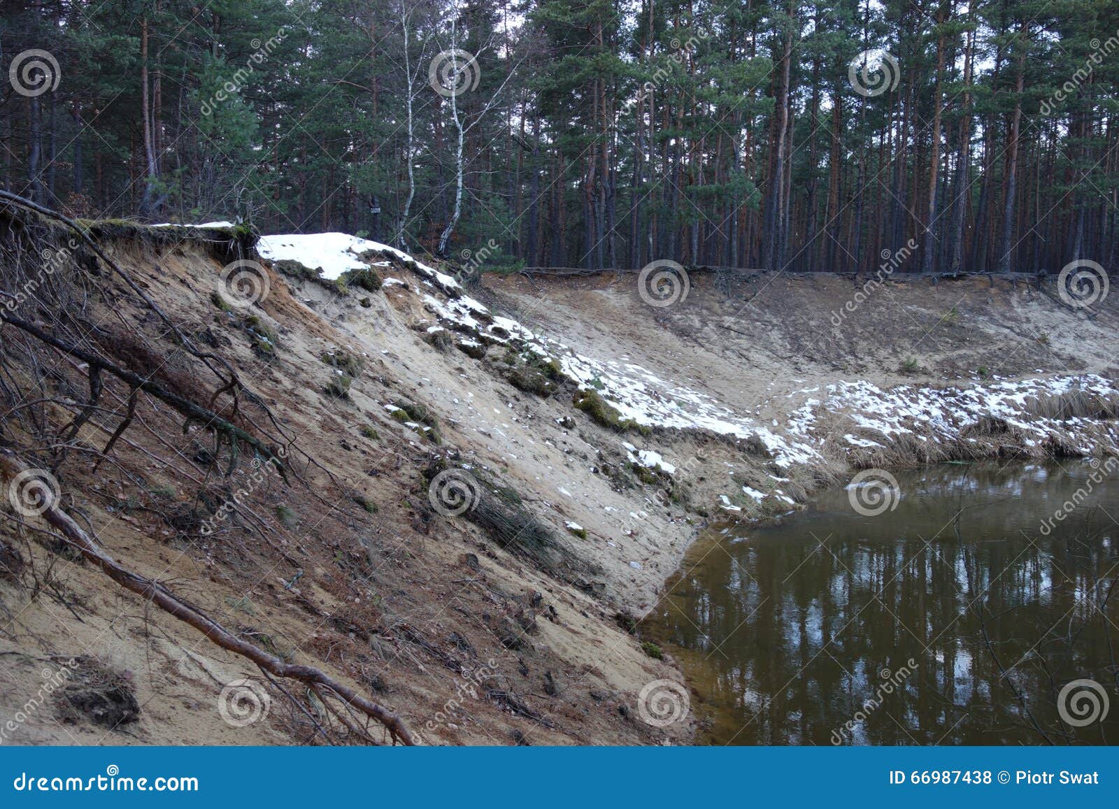 Scarp in the forest stock photo. Image of water, scenery - 66987438