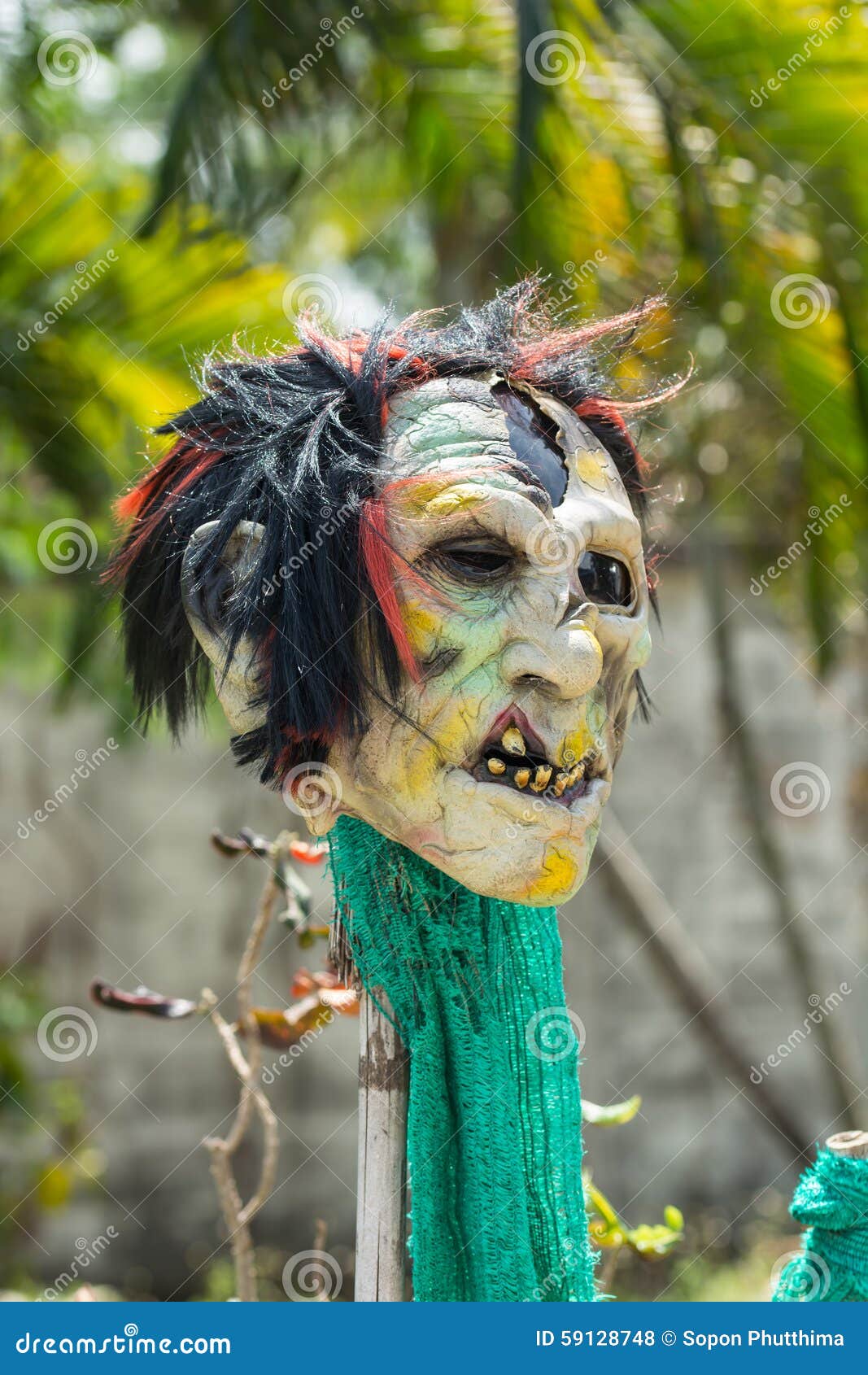 Scarry head stock photo. Image of ghost, head, beautiful - 59128748