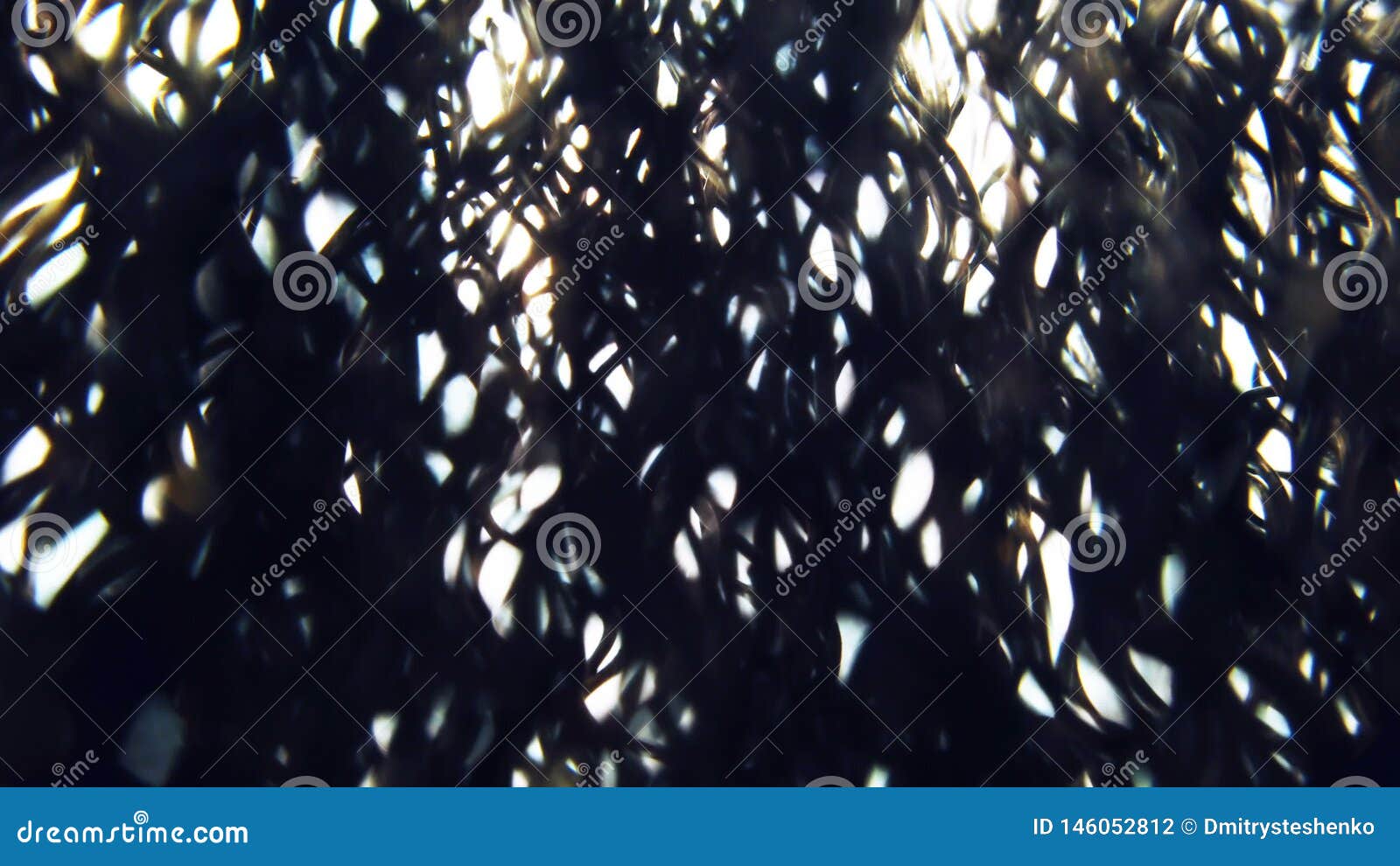 Scary Alien Forest. Dark Mysterious Burned Forest Landscape Stock ...