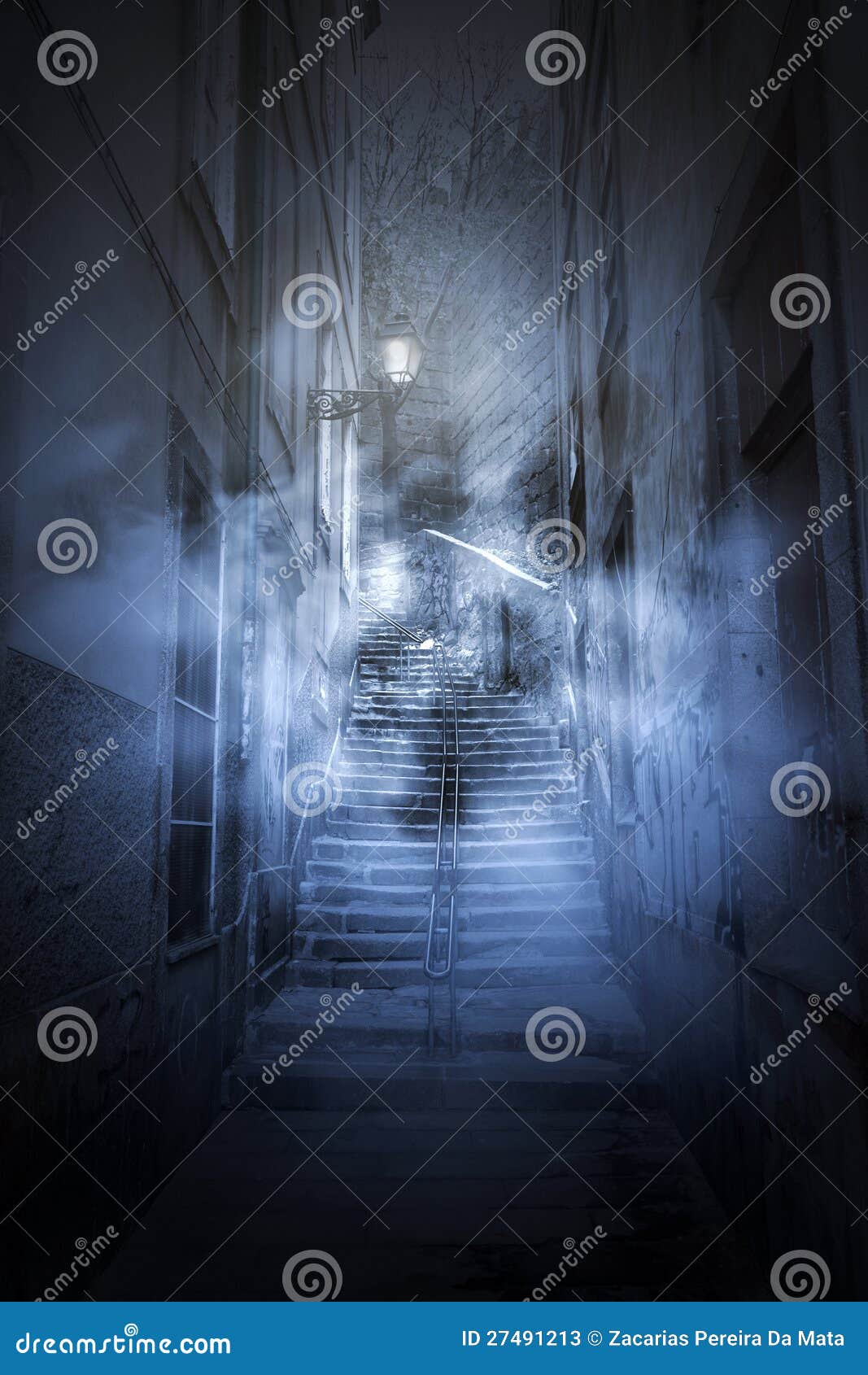 Pathway Through Scary Woods Royalty-Free Stock Photo | CartoonDealer ...