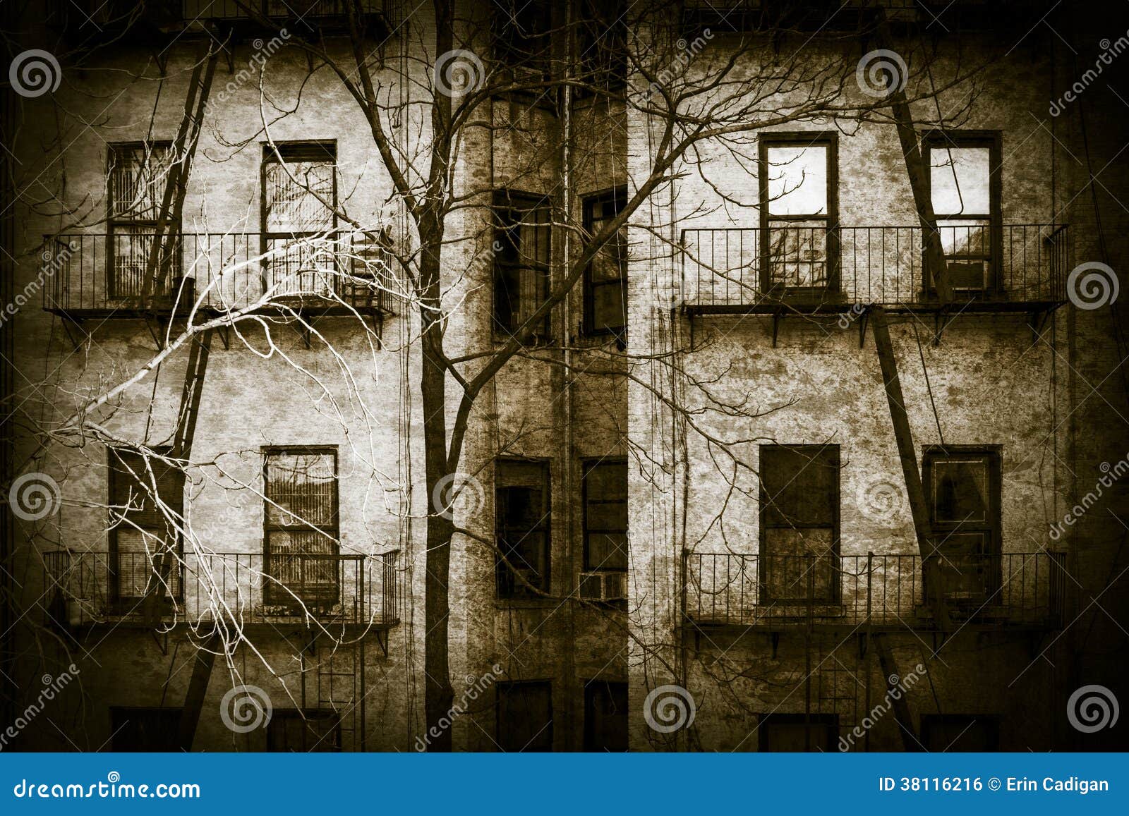Scary Apartment Building stock photo. Image of trees - 38116216