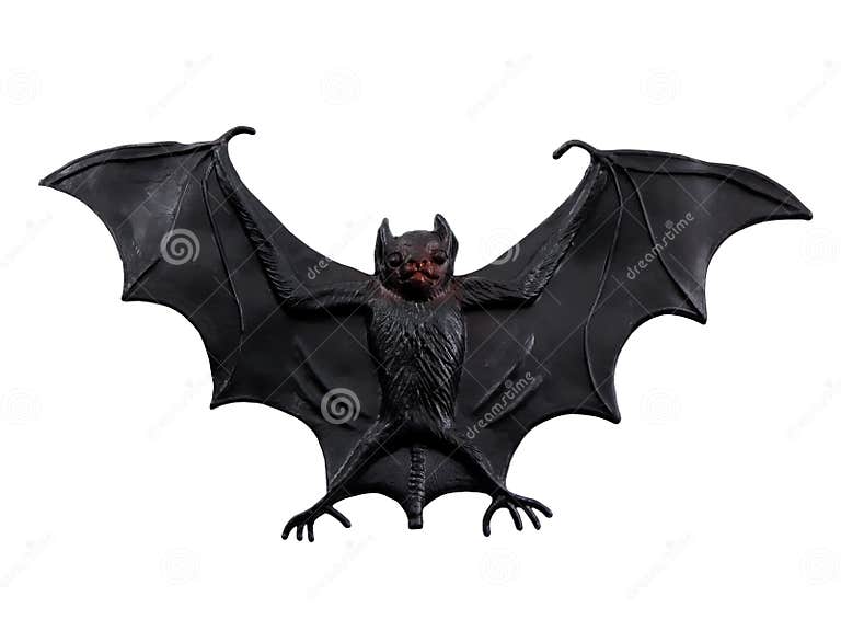 Scary Bat stock photo. Image of haunted, wings, white - 3239698