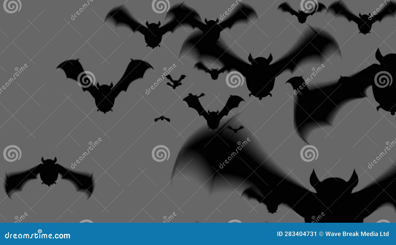 Scary Bat Animation for Halloween on Alpha Background Stock Video ...