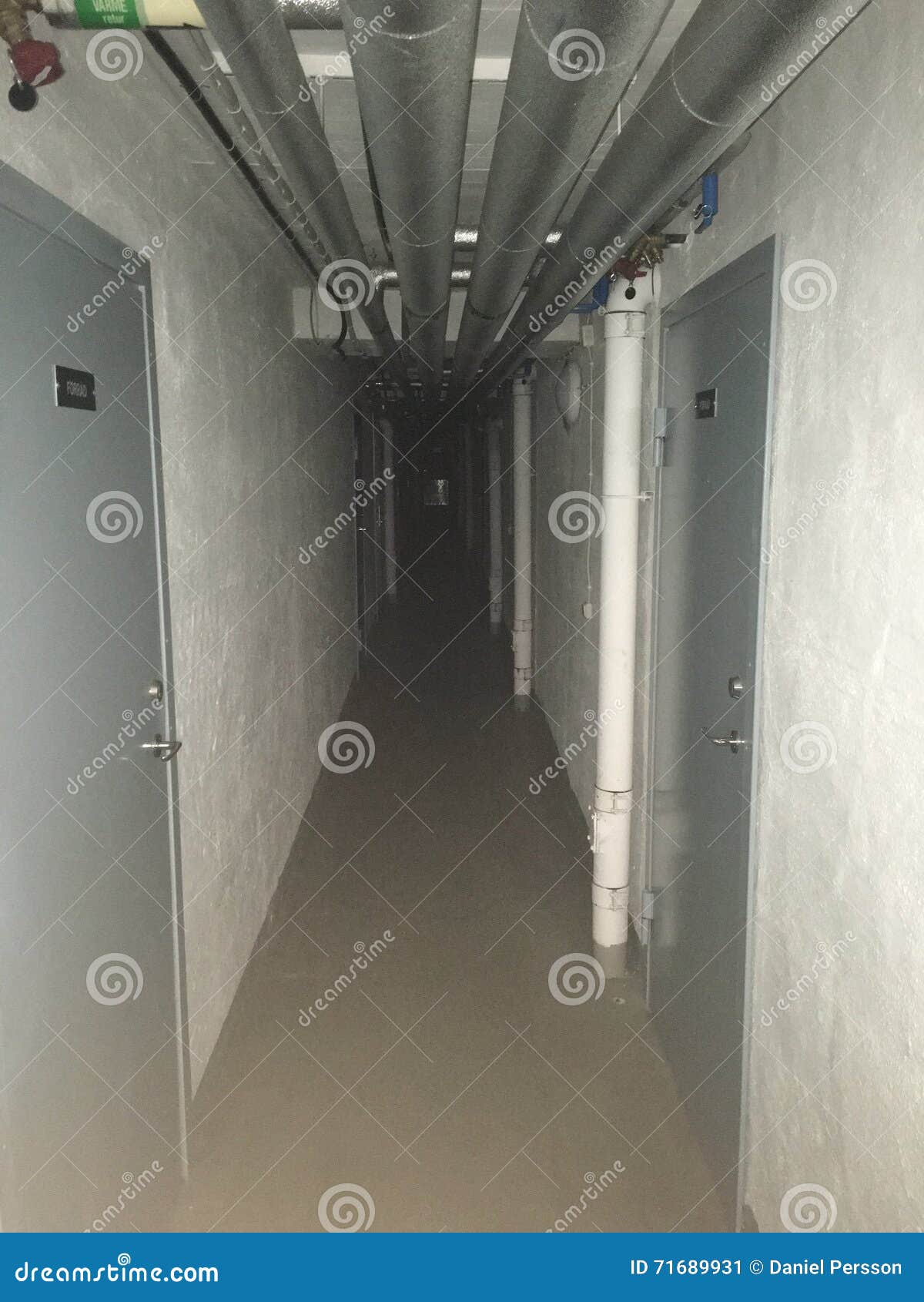 Scary cellar! stock image. Image of scary, cellar, room - 71689931