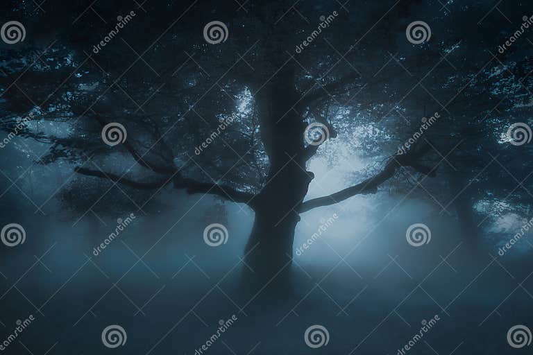 Scary Creepy Tree on Nightmare Forest Stock Photo - Image of landscape ...
