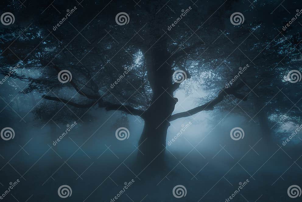 Scary Creepy Tree on Nightmare Forest Stock Photo - Image of landscape ...