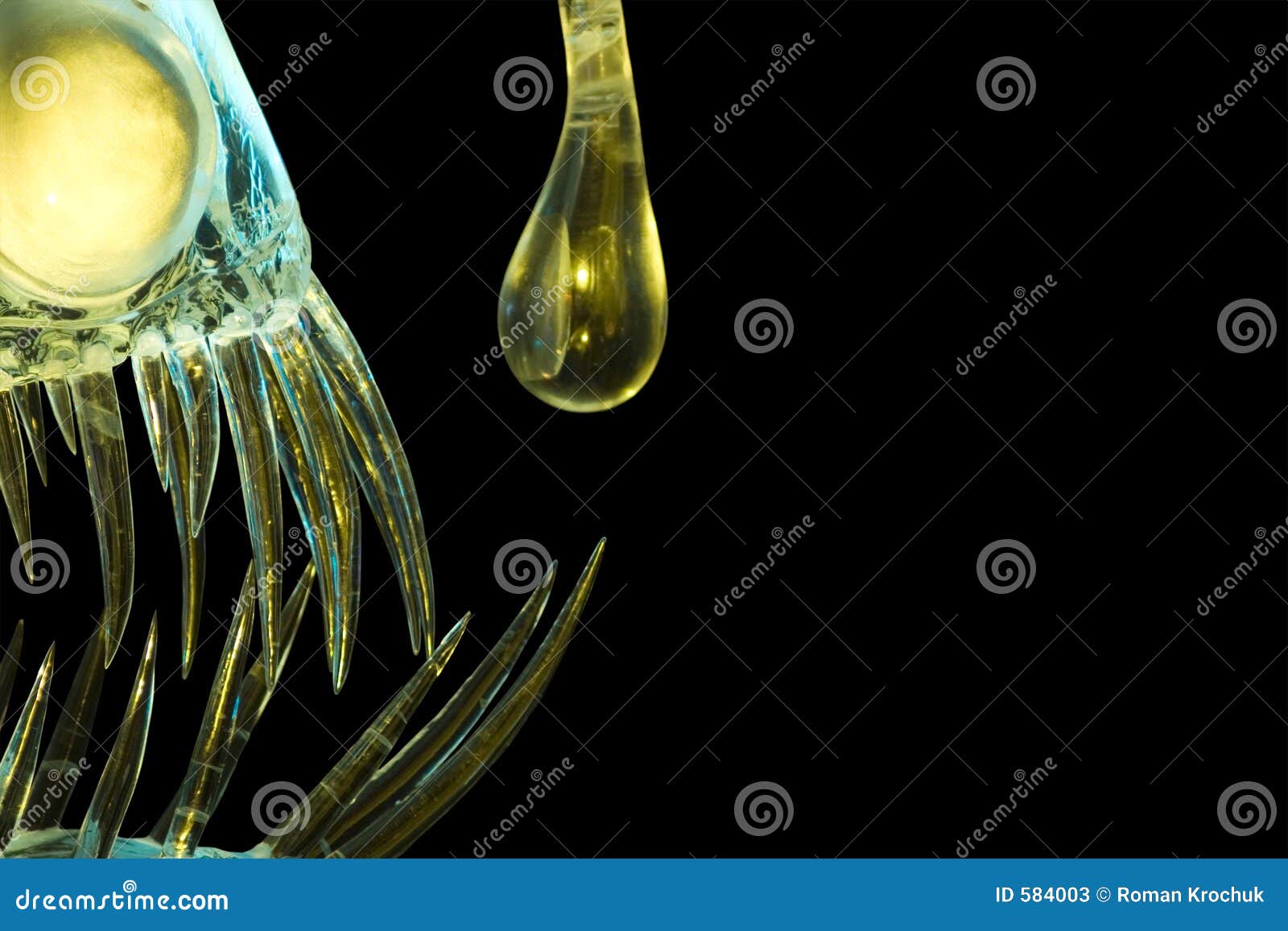 Scary deepwater fish stock image. Image of scary, blur - 584003