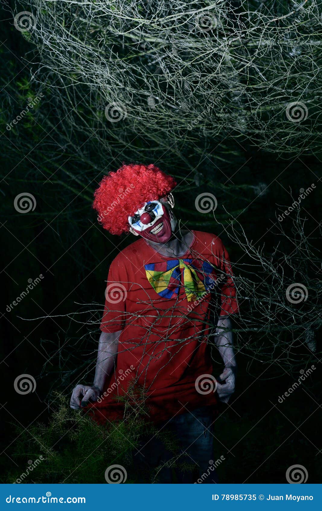 Scary Evil Clown in the Woods Stock Image - Image of forest, character ...