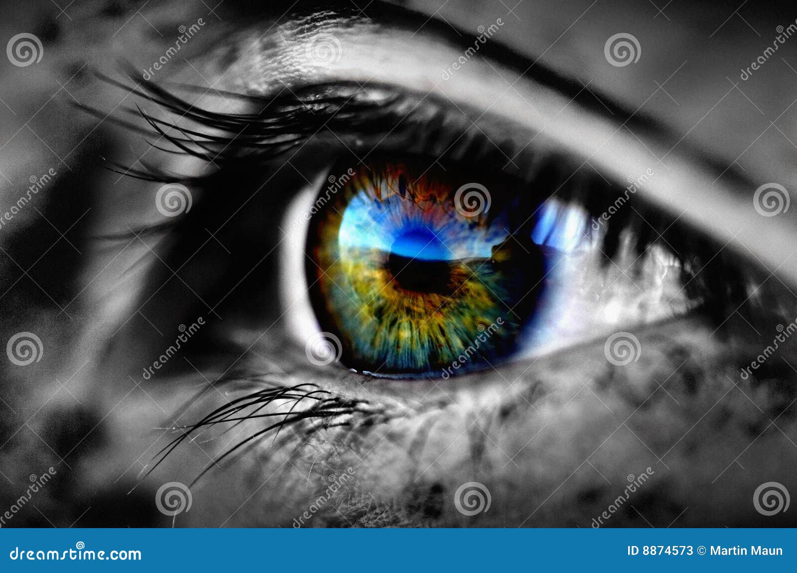 Scary Eye Stock Image | CartoonDealer.com #110740303