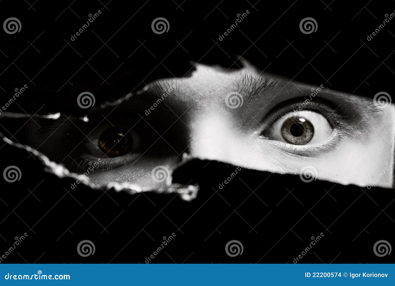 Scary eyes of a man stock photo. Image of scary, studio - 22200574