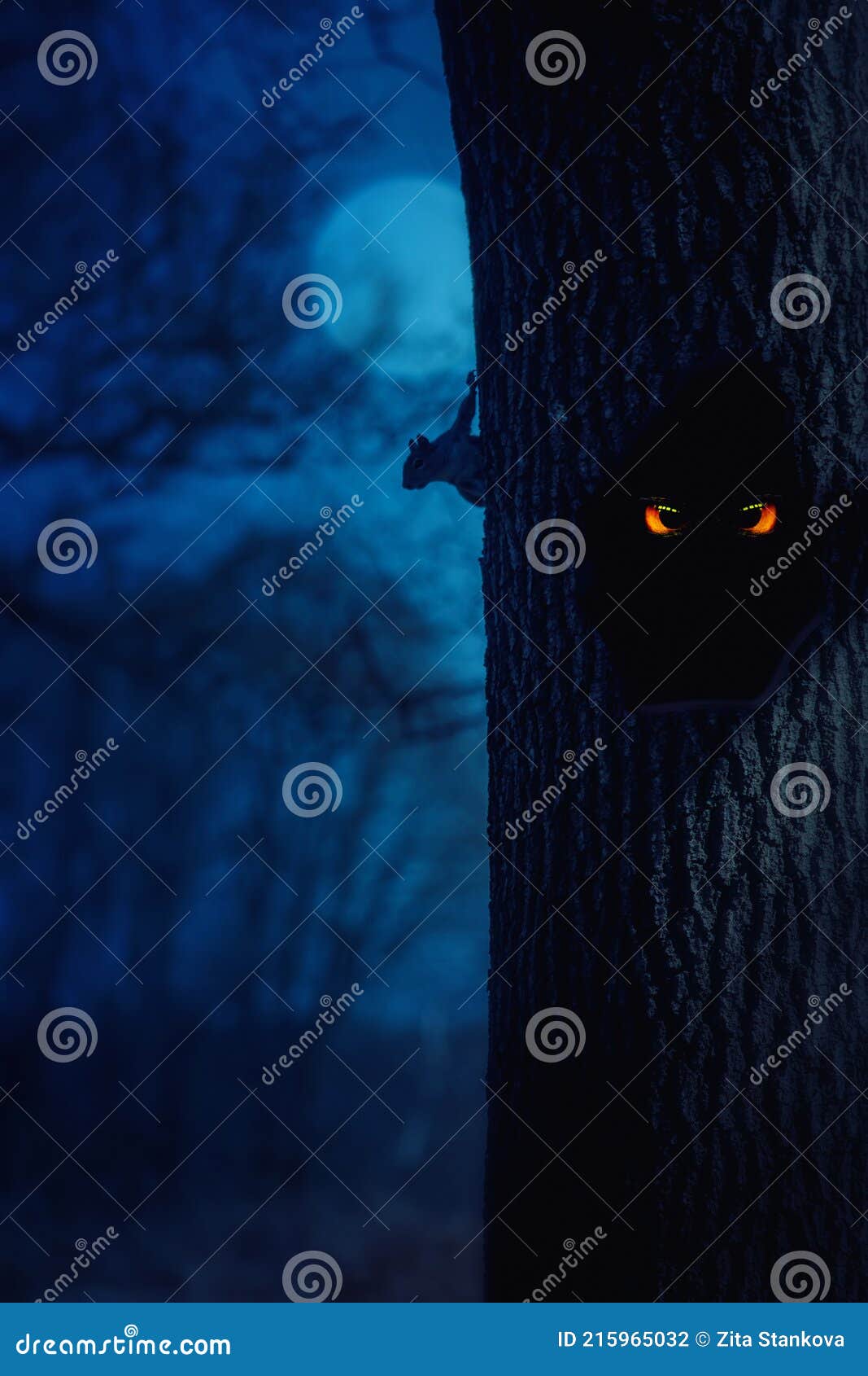 Scary Forest with a Pair of Scary Eyes Looking Out of a Tree Hollow ...