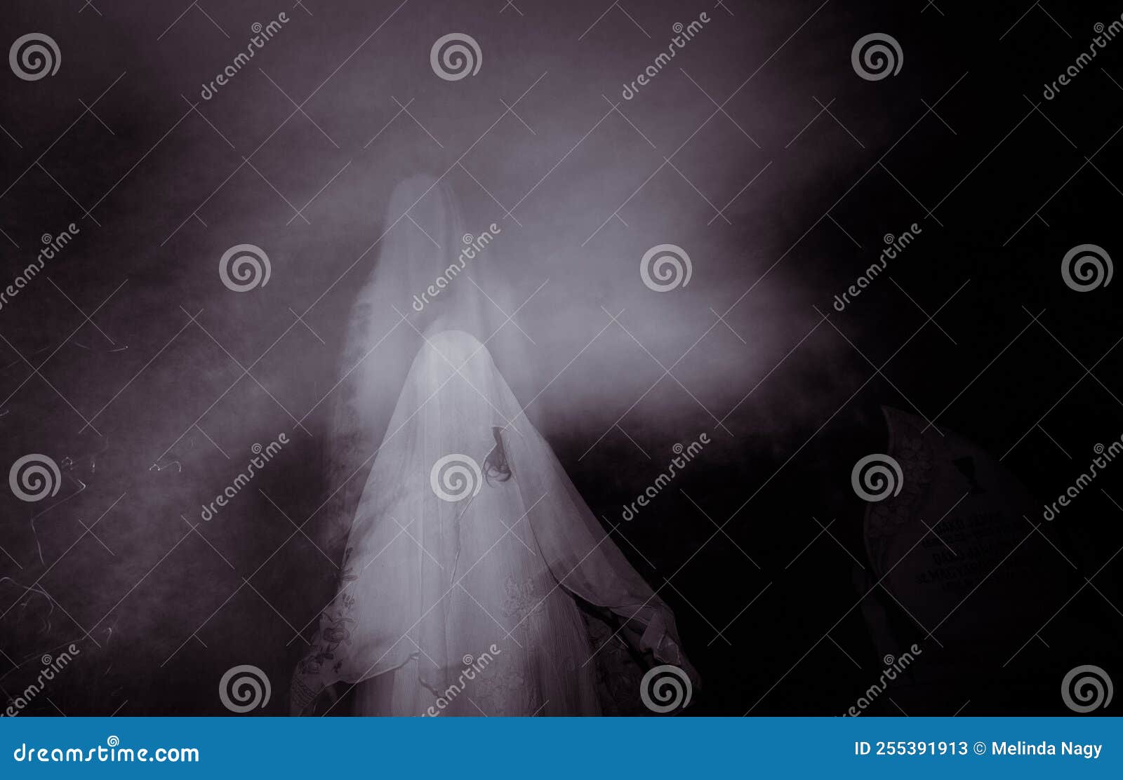 Scary Ghost in Foggy Night Halloween Background Stock Image - Image of ...
