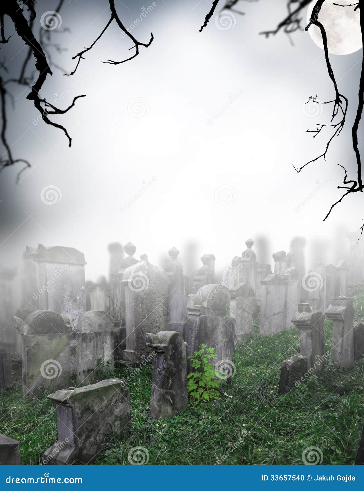 Scary graveyard stock photo. Image of bird, grave, outdoors - 33657540